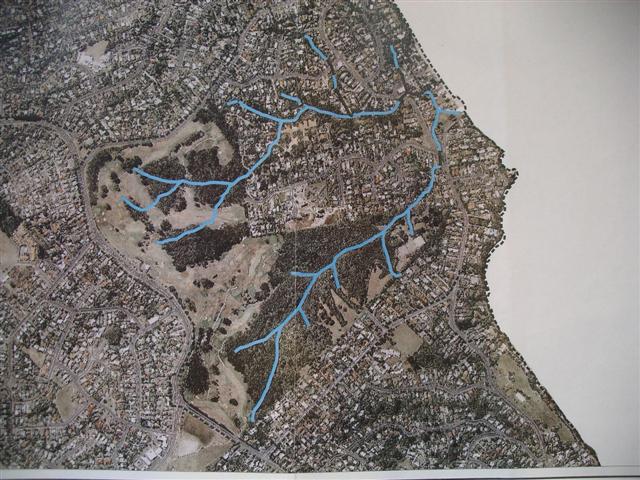 Map Downloads – Campbells Bay Urban Sanctuary