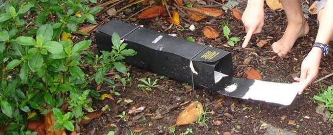 Predator control – Campbells Bay Urban Sanctuary